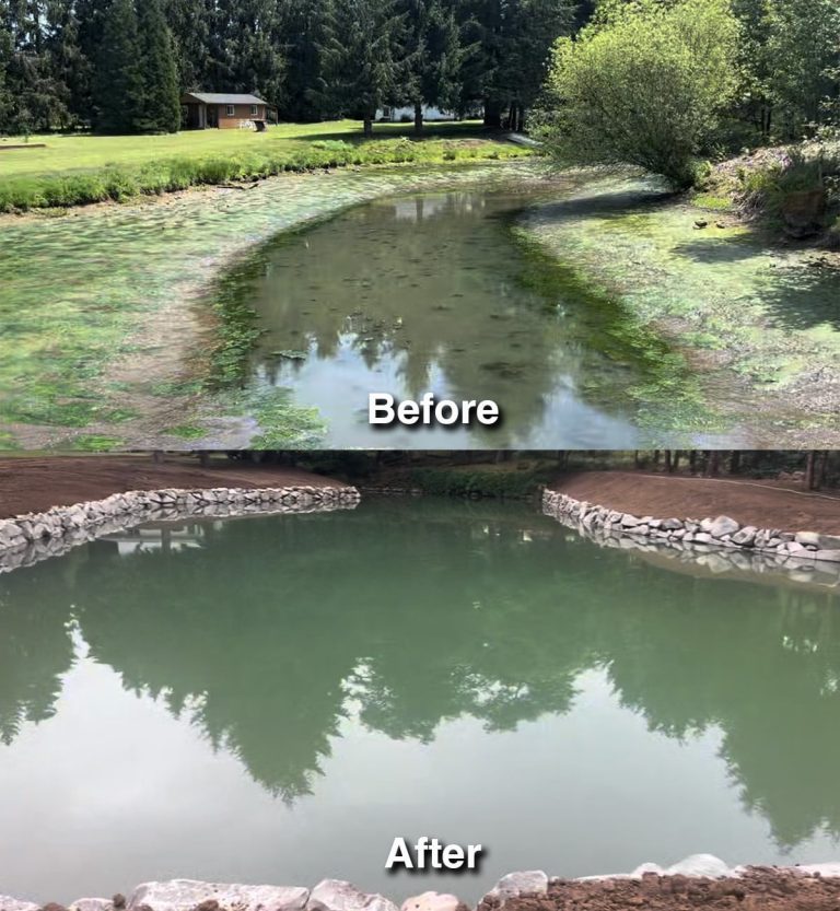Pond Restoration - KBA Land Clearing